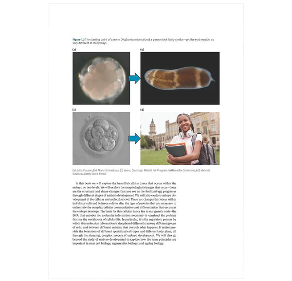 Animal Developmental Biology: Embryos, Evolution, and Ageing - BIOWEB USA