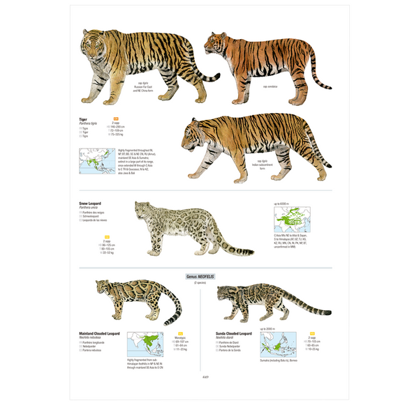 All the Mammals of the World - BIOWEB Global