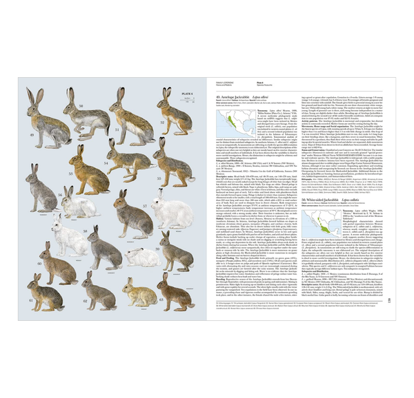 Handbook of the Mammals of the World. Vol.6: Lagomorphs and Rodents I ...