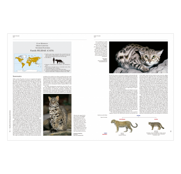 Handbook of the Mammals of the World. Vol.1: Carnivores ²⁵ - BIOWEB USA