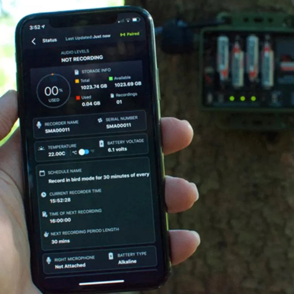 Song Meter Wildlife Acoustics Mini Bat Ultrasonic Recorder - BIOWEB USA