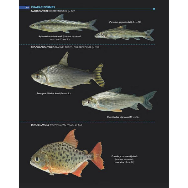 Field Guide to the Fishes of the Amazon, Orinoco, and Guianas (Princet ...