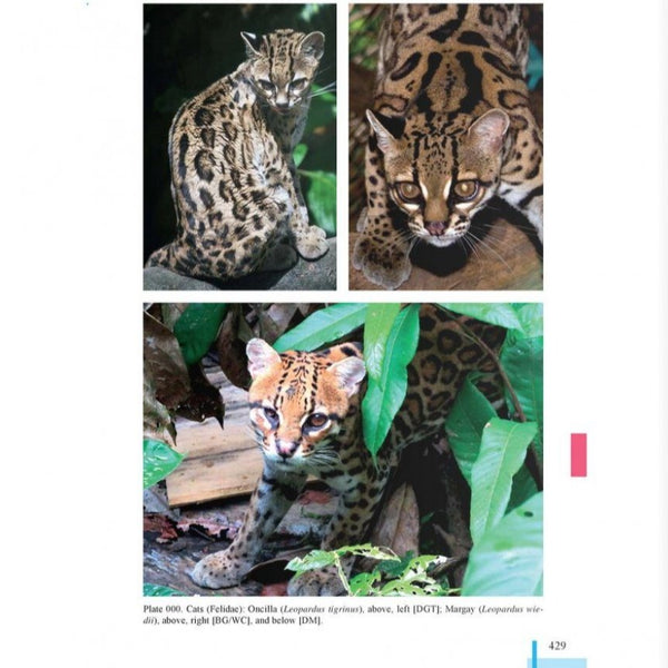 Guía de Campo de los Mamíferos del Ecuador - BIOWEB USA