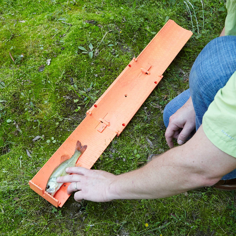 WaterMark Collapsible Fish Measuring Board - BIOWEB Global