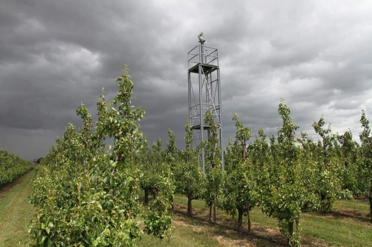 Produtos - BIOWEB Global