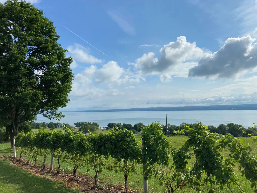 Produtos - BIOWEB Global