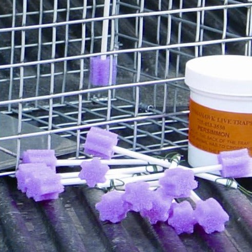 Products - BIOWEB USA