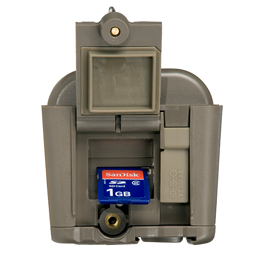 Cuddeback 20 Mp Dual Flash Trail Camera Bioweb Global