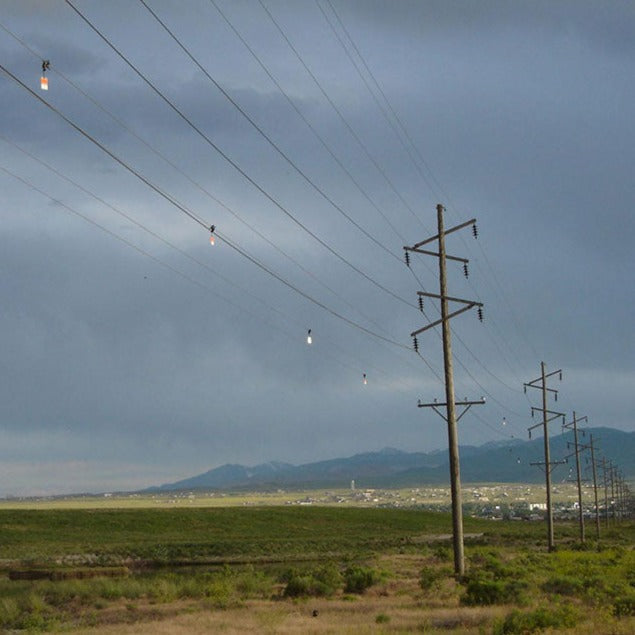 FireFly FF Bird Visual Diverters - BIOWEB USA